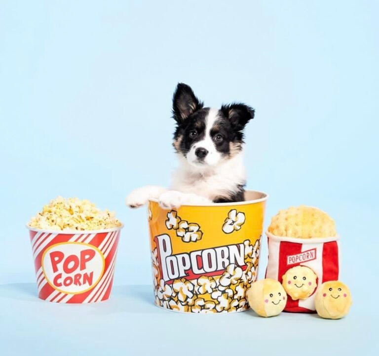 Juguete Popcorn Burrow – Lidercompany
