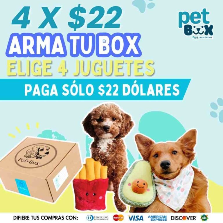 ARMA TU BOX – Lidercompany